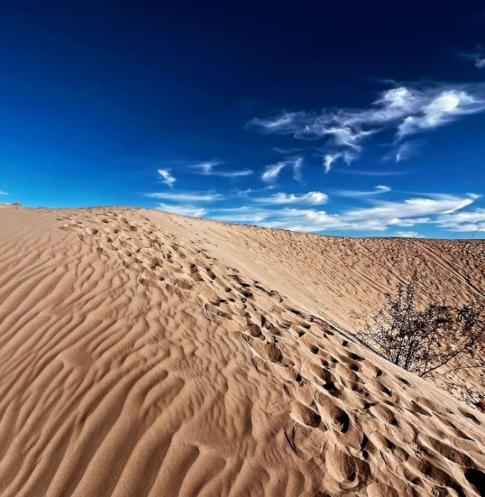 Viesca, Coahuila: Descubre la belleza del desierto mexicano
